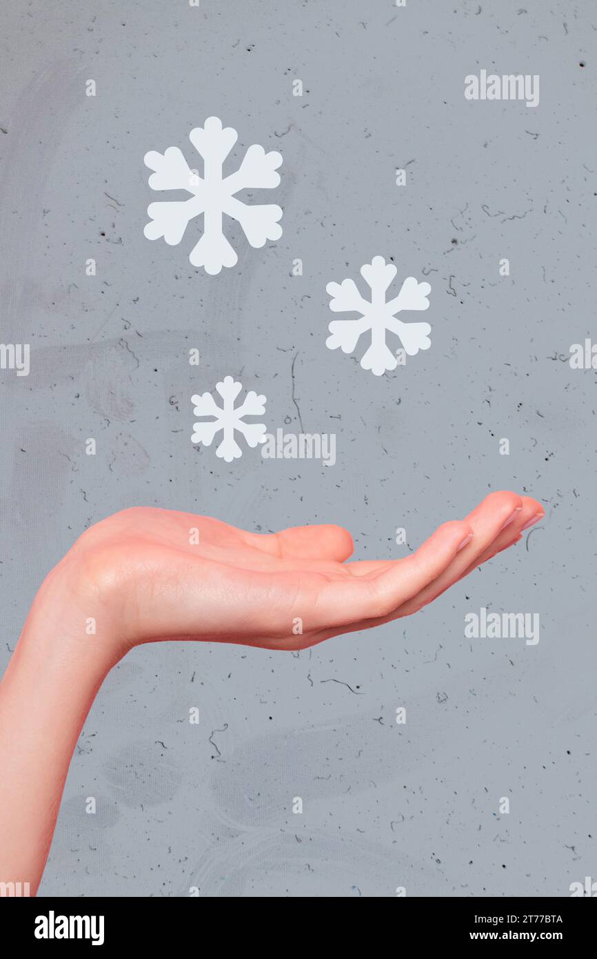 Vertical collage image of person arm palm catch falling snowflakes ...