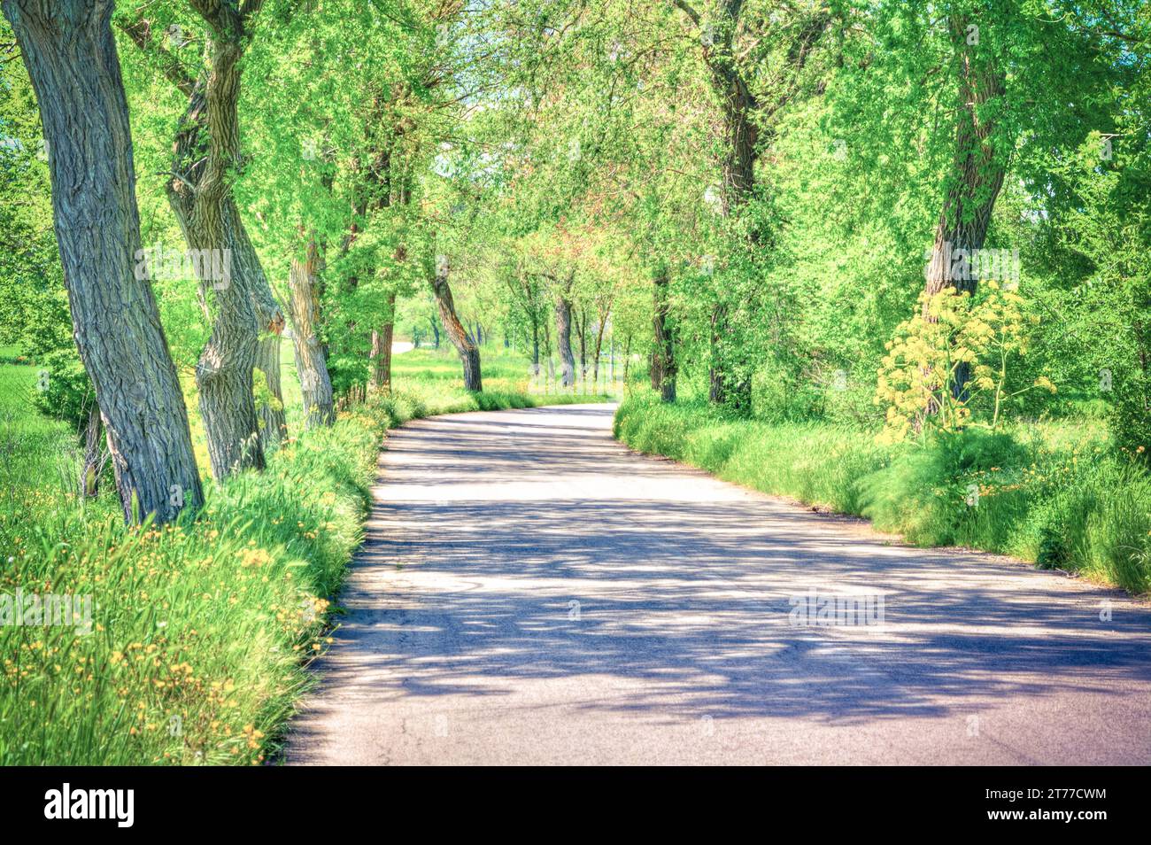 Daylight and road hi-res stock photography and images - Alamy