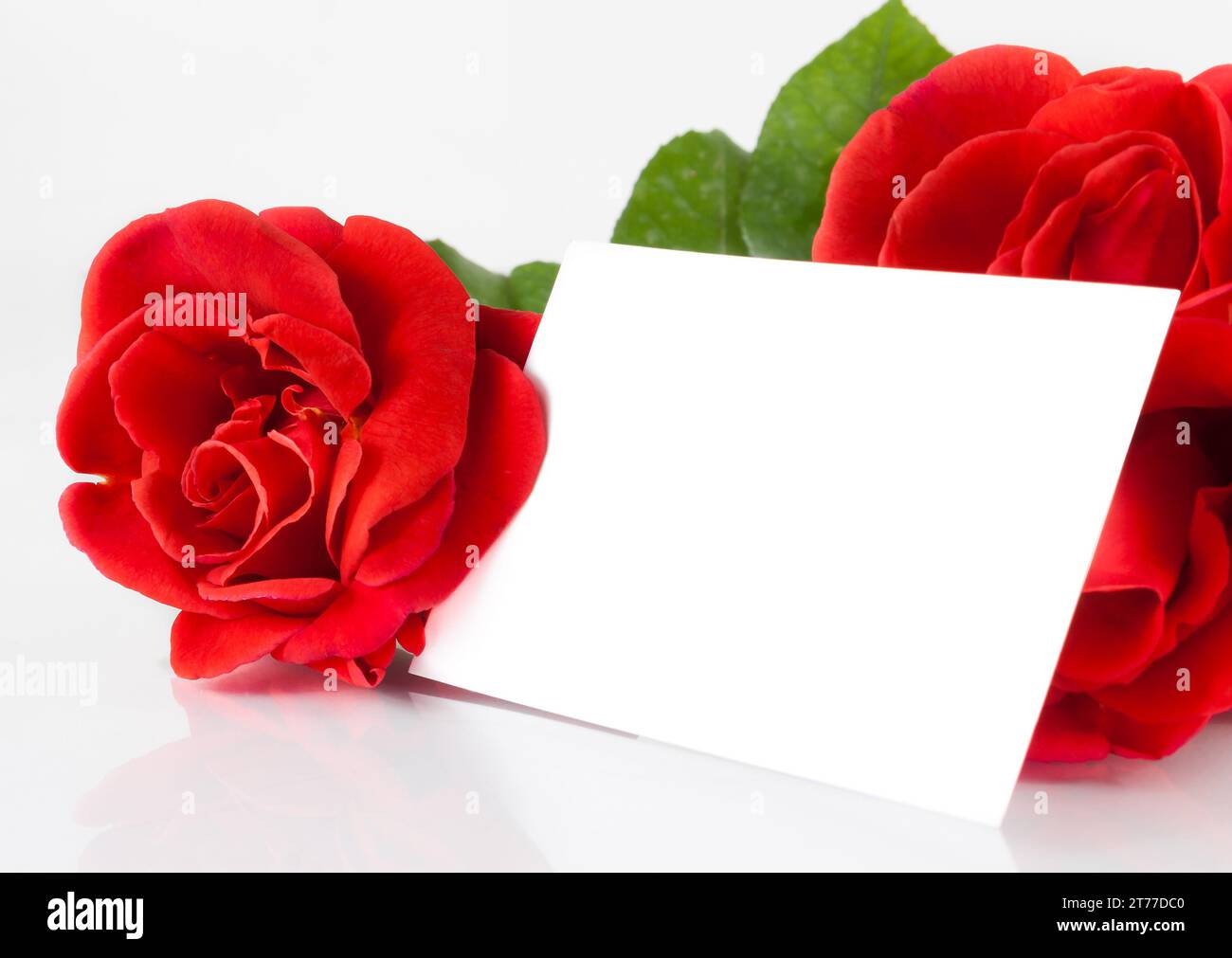 Blank paper red roses hi-res stock photography and images - Alamy