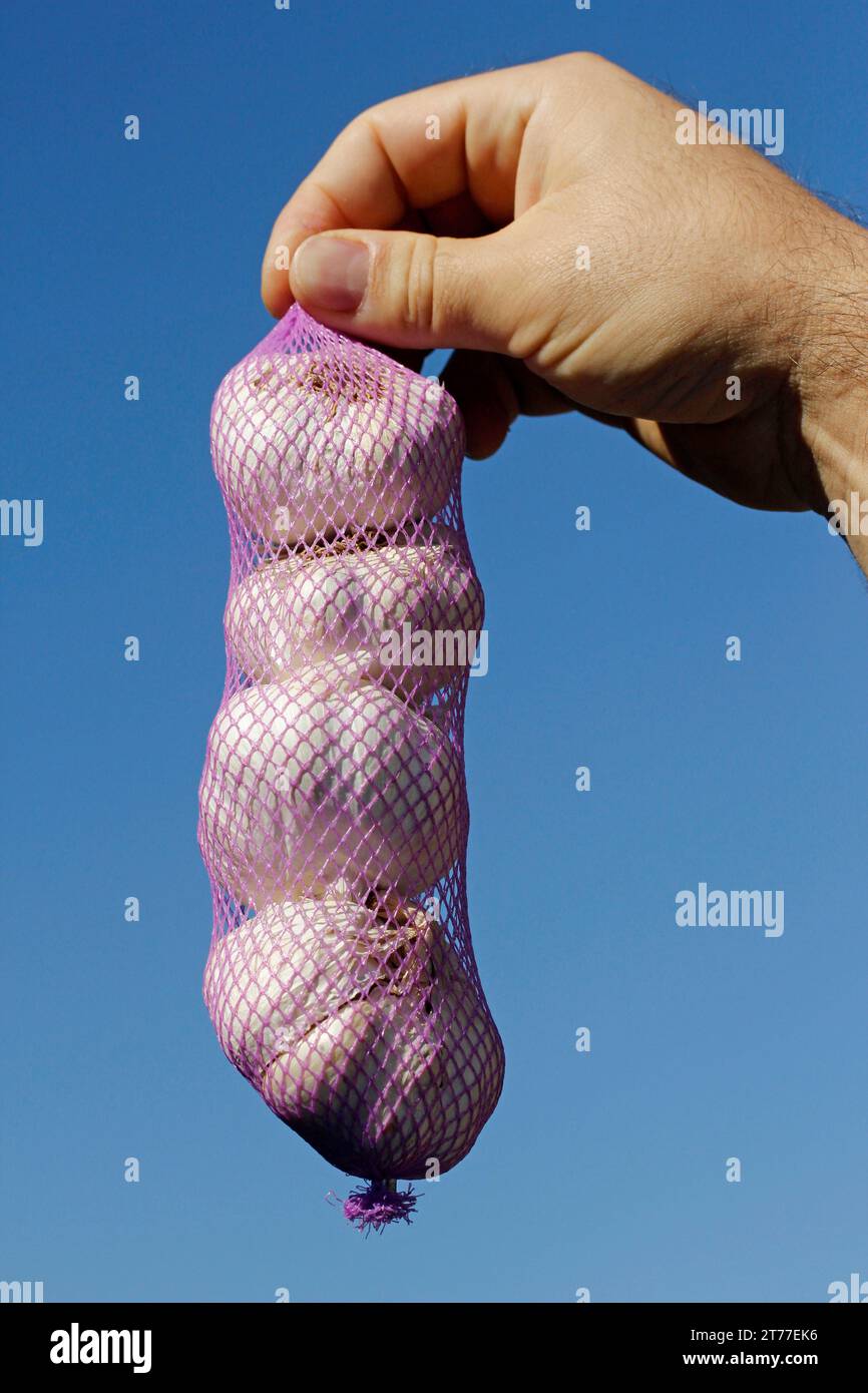 Meal mesh hi-res stock photography and images - Alamy