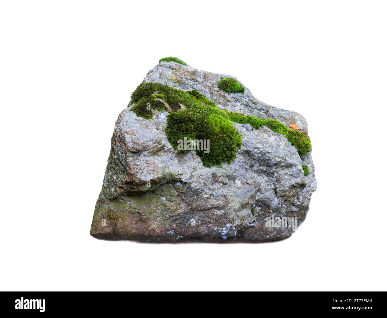 stone covered with moss isolated on white background Stock Photo - Alamy