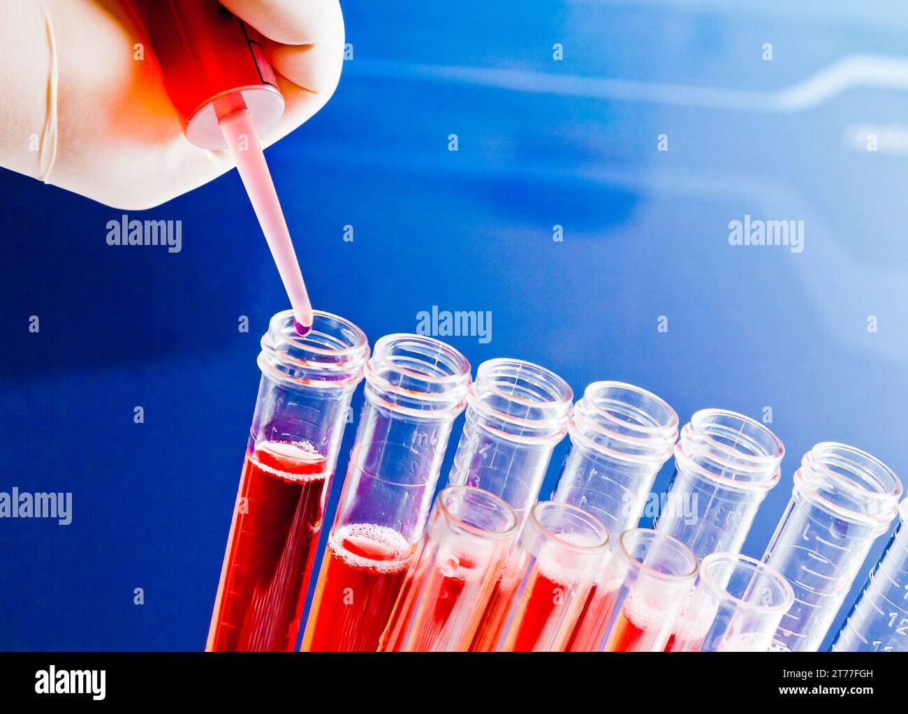 closeup of test tubes with pipette on red liquid on blue blur ...