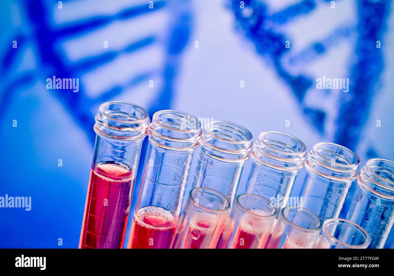 closeup of test tubes with red liquid on blue blur abstract dna ...