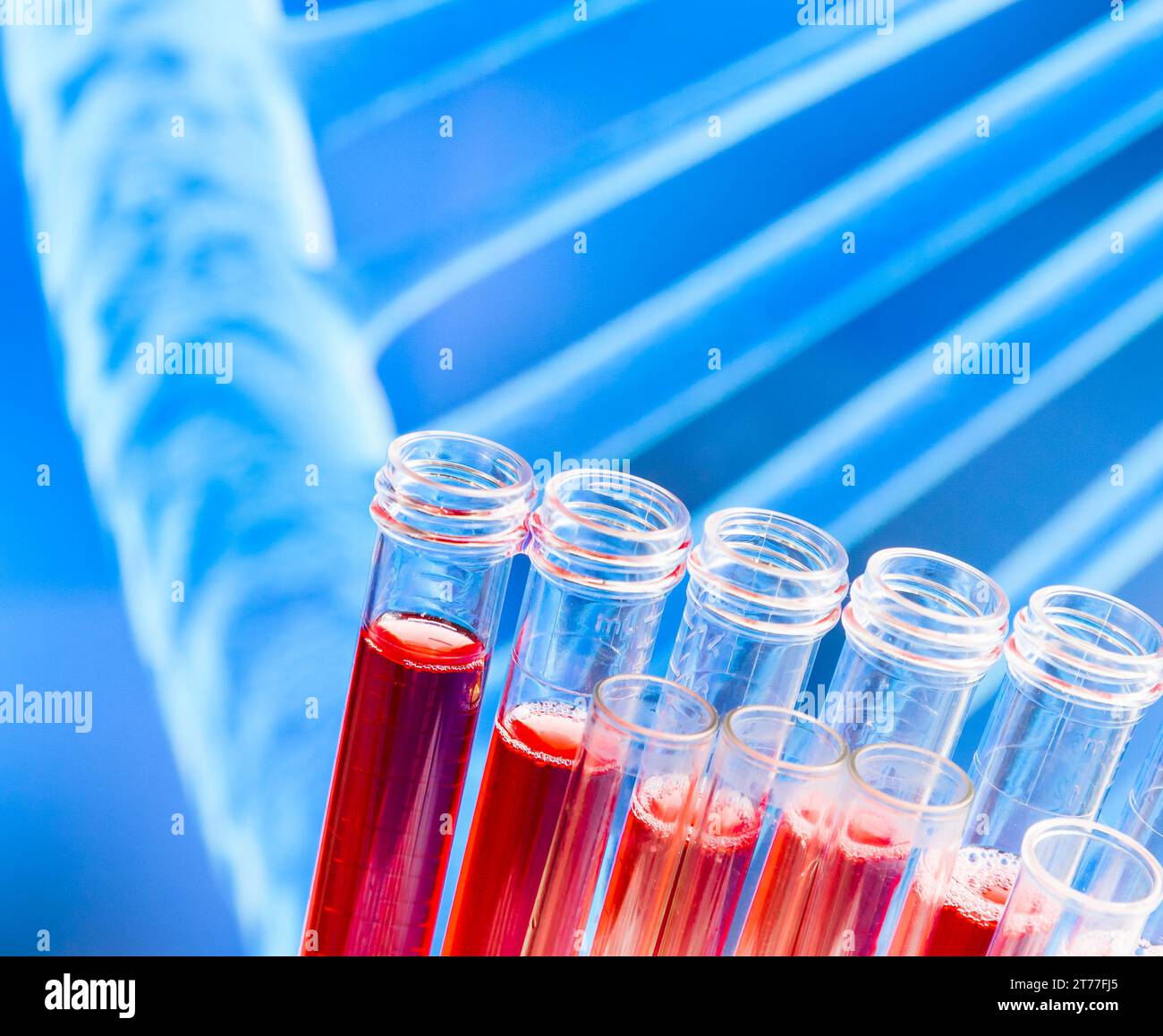 closeup of test tubes on red liquid on blue blur abstract dna ...