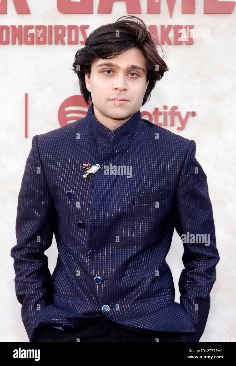 HOLLYWOOD, CA - NOVEMBER 13: Aamer Husain at the LA Premiere of The ...