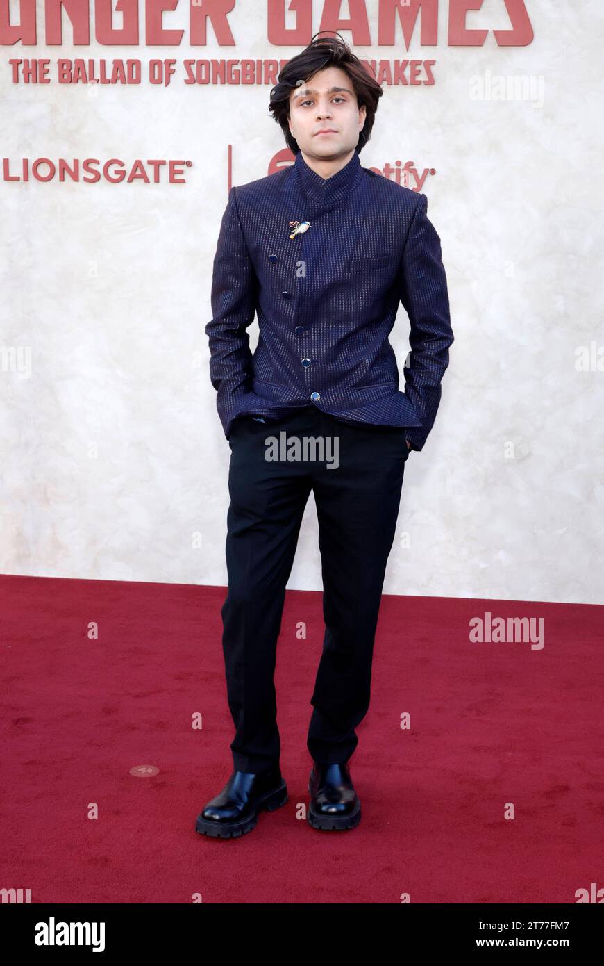 HOLLYWOOD, CA - NOVEMBER 13: Aamer Husain at the LA Premiere of The ...