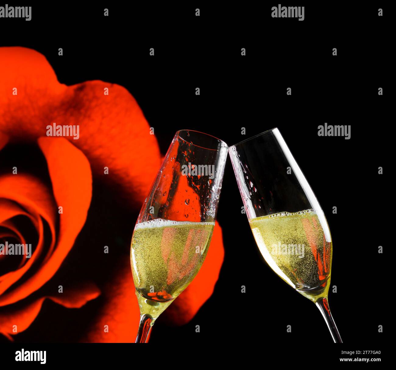champagne flutes with golden bubbles make cheers on rose flowers and ...