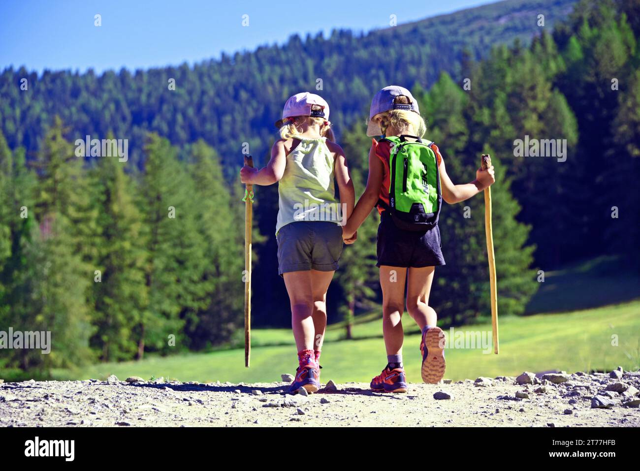 two little girls hiking together hand in hand on a hiking trail, rear ...