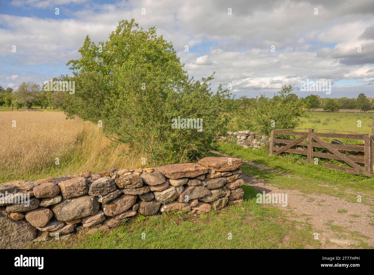 stone wall at Graborg, Sweden, Oeland Stock Photo - Alamy