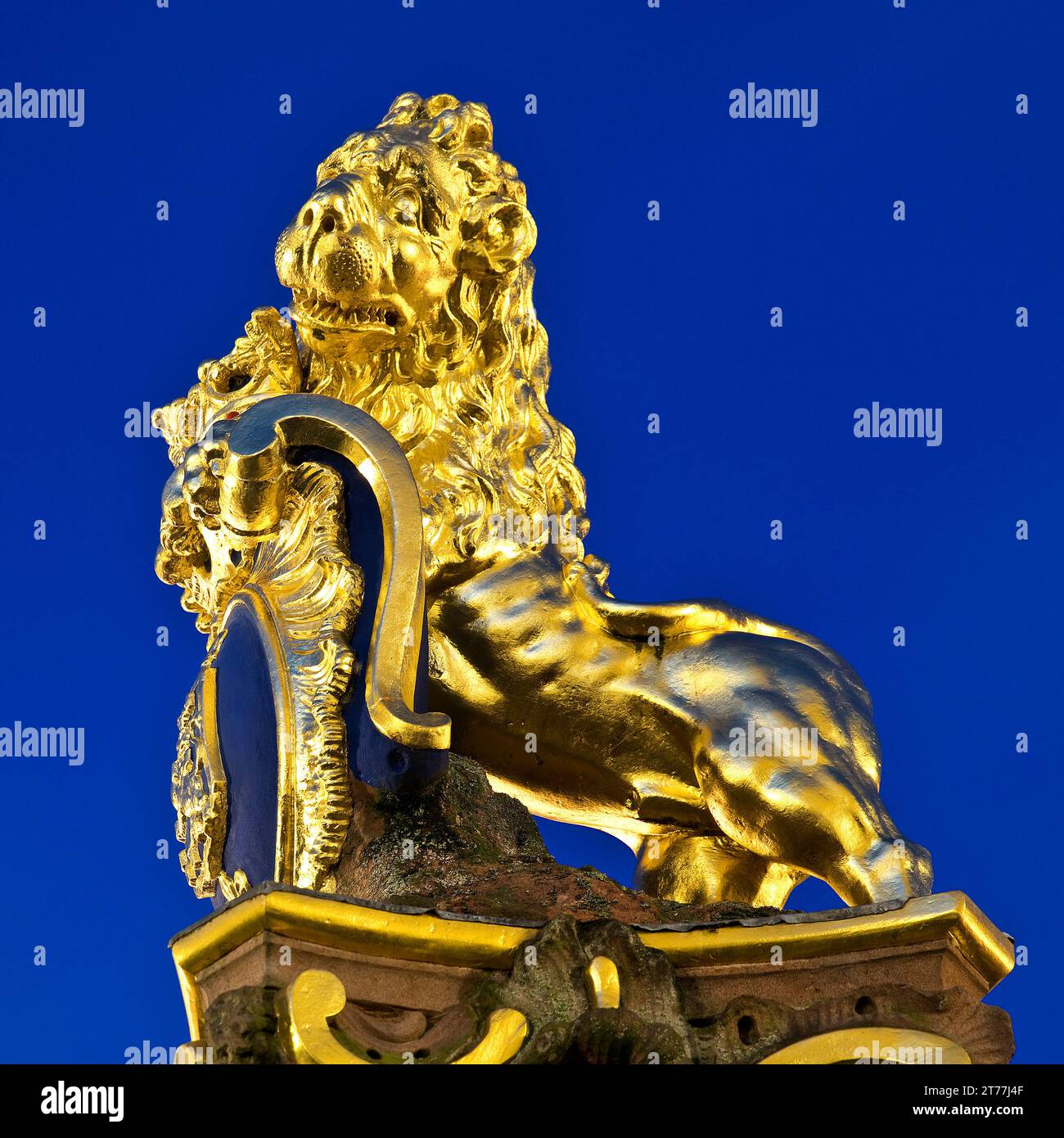Lion building hi-res stock photography and images - Alamy