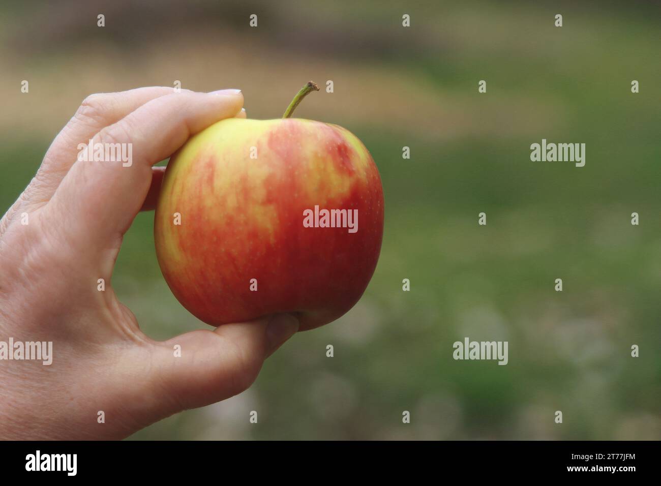 red apple in the hand Stock Photo - Alamy