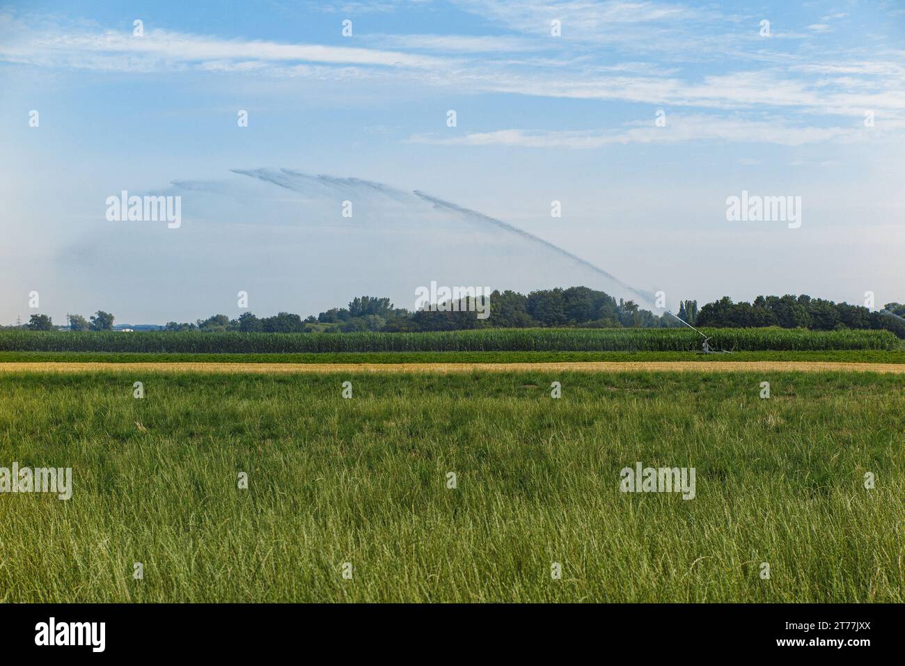 potato field is extensively irrigated with groundwater, Germany ...