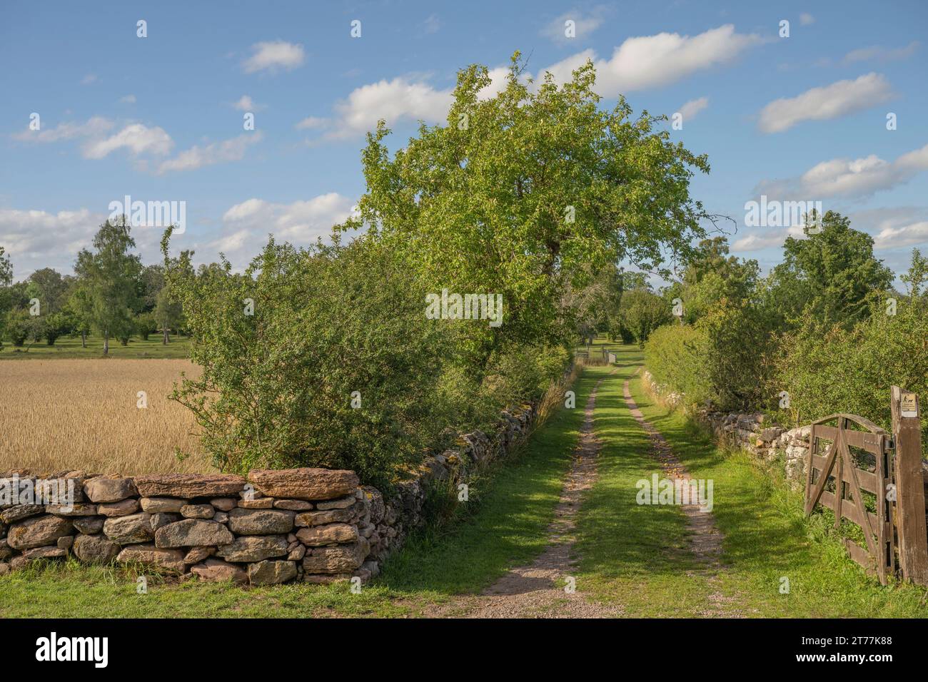 cultural landscape with stone wall at Graborg, Sweden, Oeland Stock ...