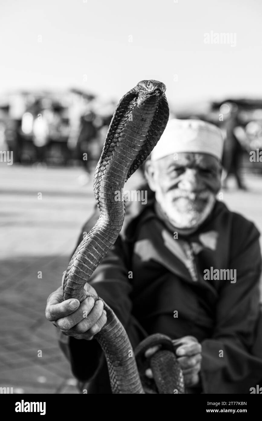 Old Men with snake Stock Photo - Alamy