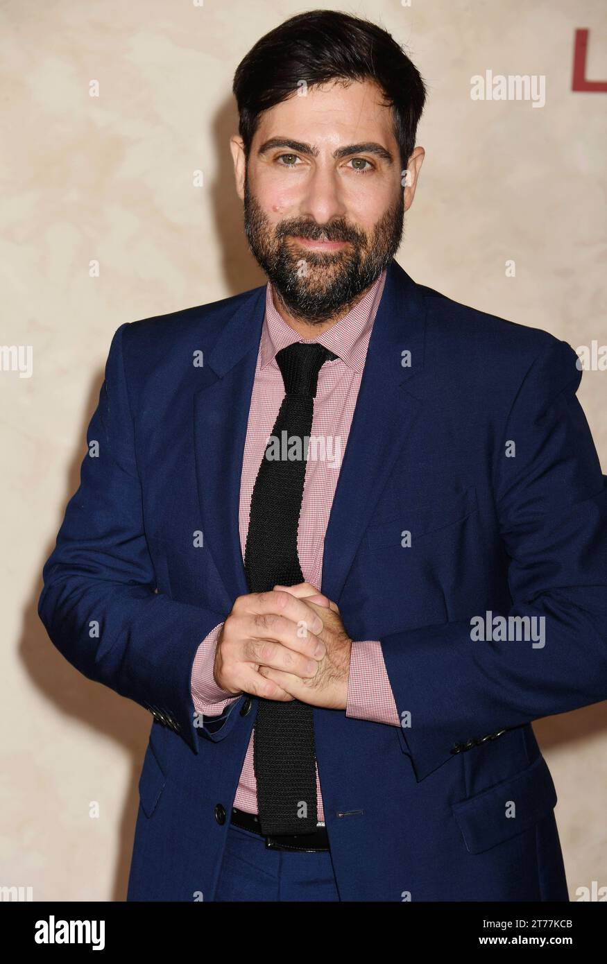 HOLLYWOOD, CALIFORNIA - NOVEMBER 13: Jason Schwartzman attends The ...