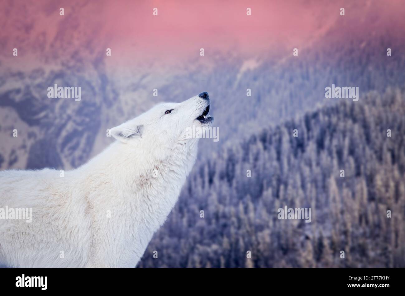 Polar depression hi-res stock photography and images - Alamy
