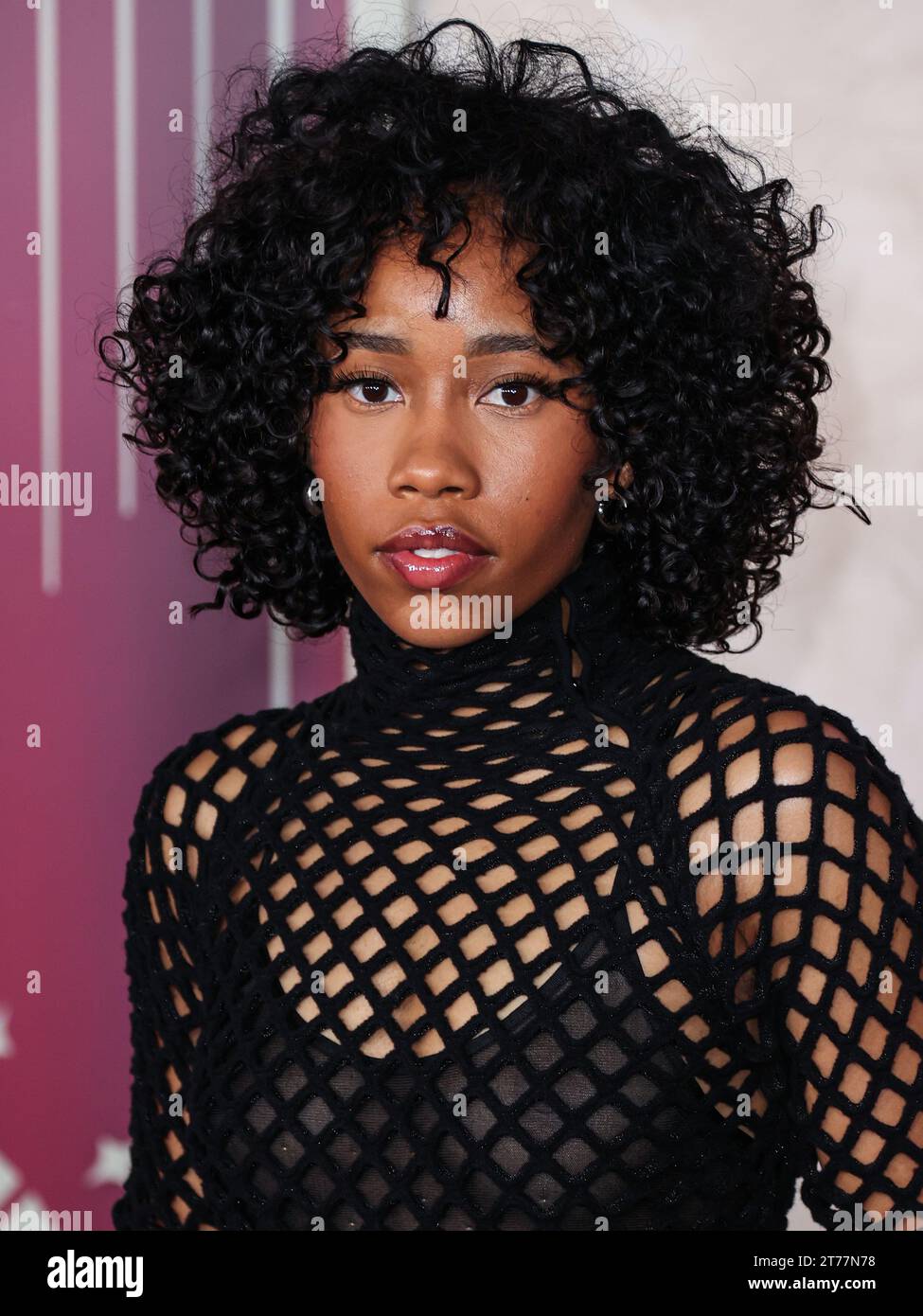 Hollywood, United States. 13th Nov, 2023. HOLLYWOOD, LOS ANGELES ...