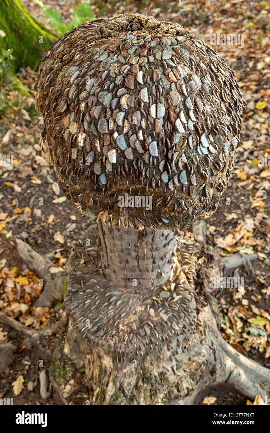 Money Tree with coins hammered into it's bark Dollar Glen, Dollar ...