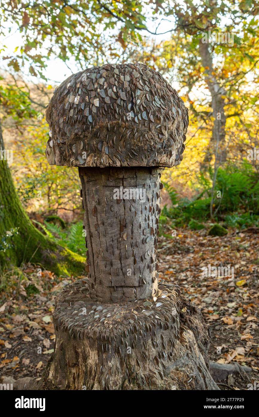 Money Tree with coins hammered into it's bark Dollar Glen, Dollar ...