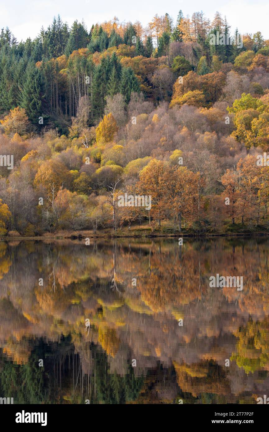 Beautiful Autumn colours on Loch Ard in the Trossachs National Park ...