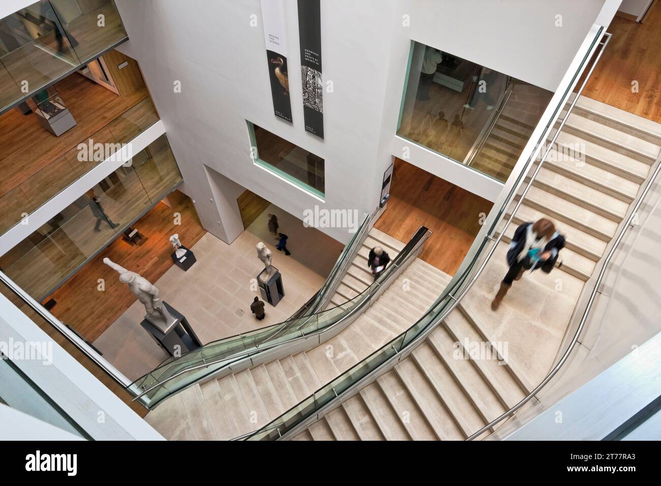 Interior of the Ashmolean Museum in Oxford Stock Photo - Alamy
