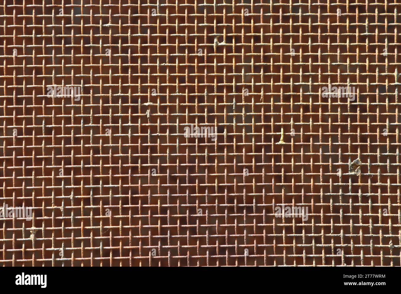 Thin wire mesh hi-res stock photography and images - Alamy