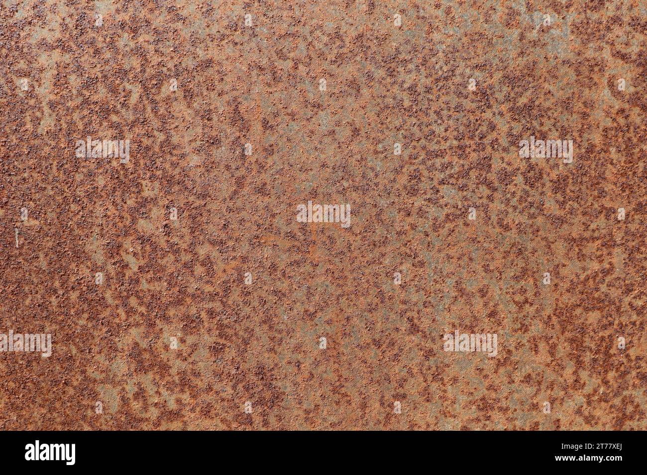 Old rusty sheet of metal close-up shot Stock Photo - Alamy