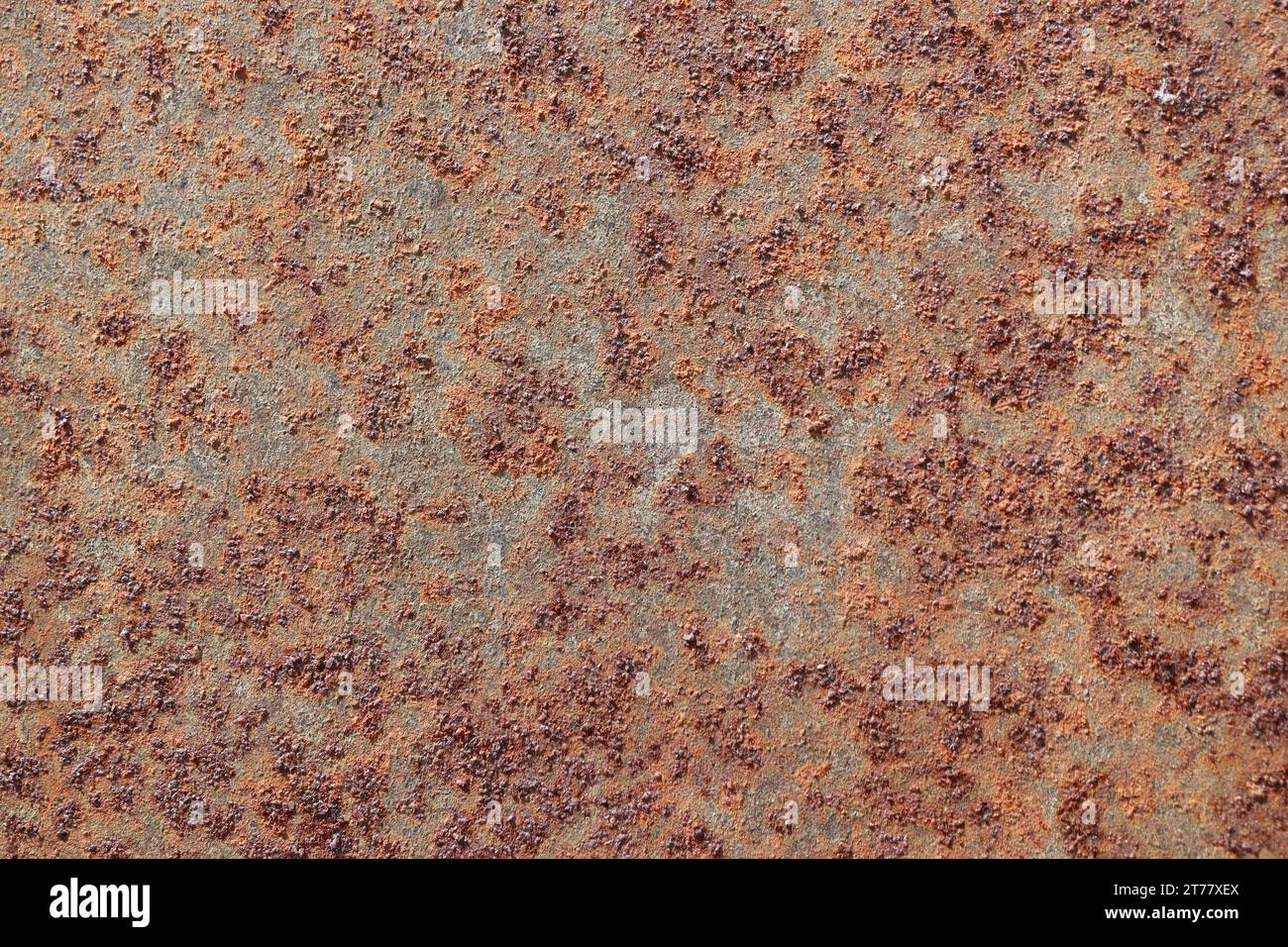 Old rusty sheet of metal close-up shot Stock Photo - Alamy