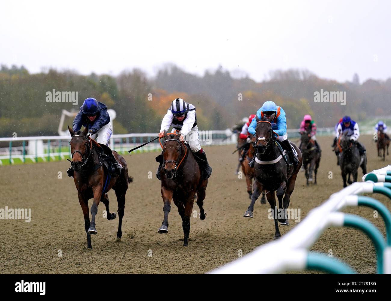 Lingfield racecourse 2023 hi-res stock photography and images - Alamy