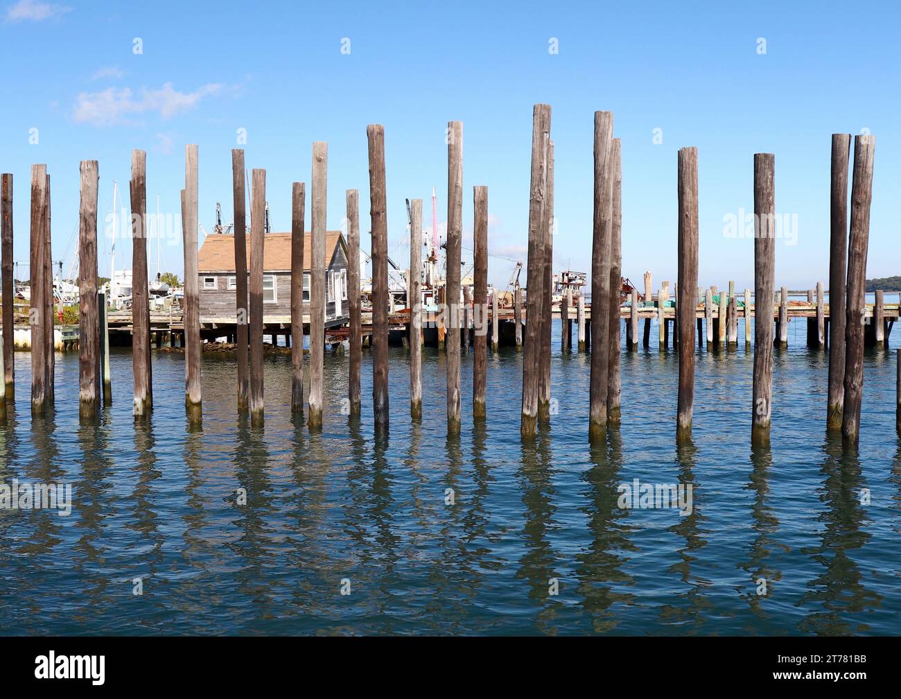Pier Pilings at Boat Marina Stock Photo - Alamy