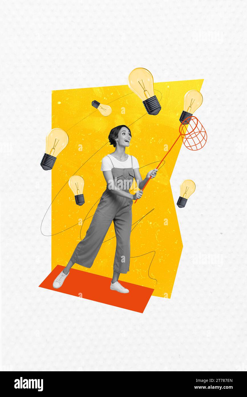 Abstract creative collage of young female catch net hunt brilliant idea ...