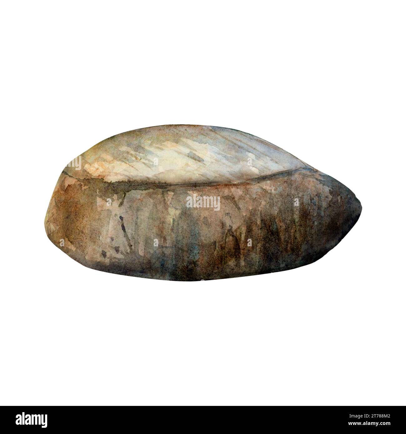 Stone grey smooth from sea bottom. Watercolor drawing of underwater ...