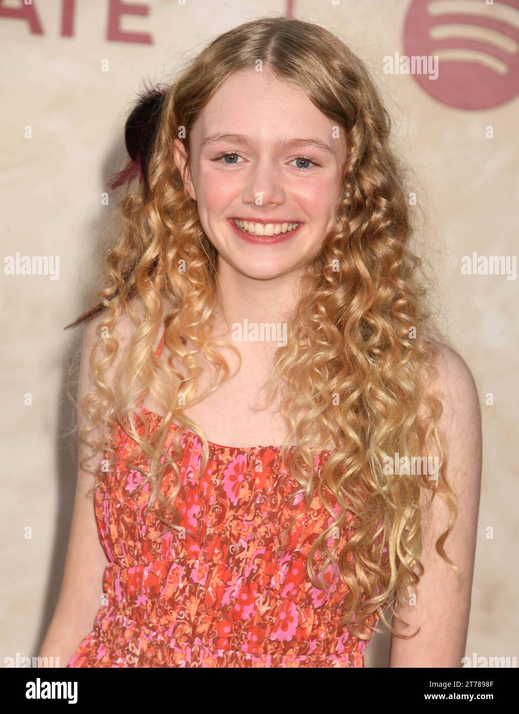 HOLLYWOOD, CALIFORNIA - NOVEMBER 13: Vauhgn Reilly attends The Ballad ...
