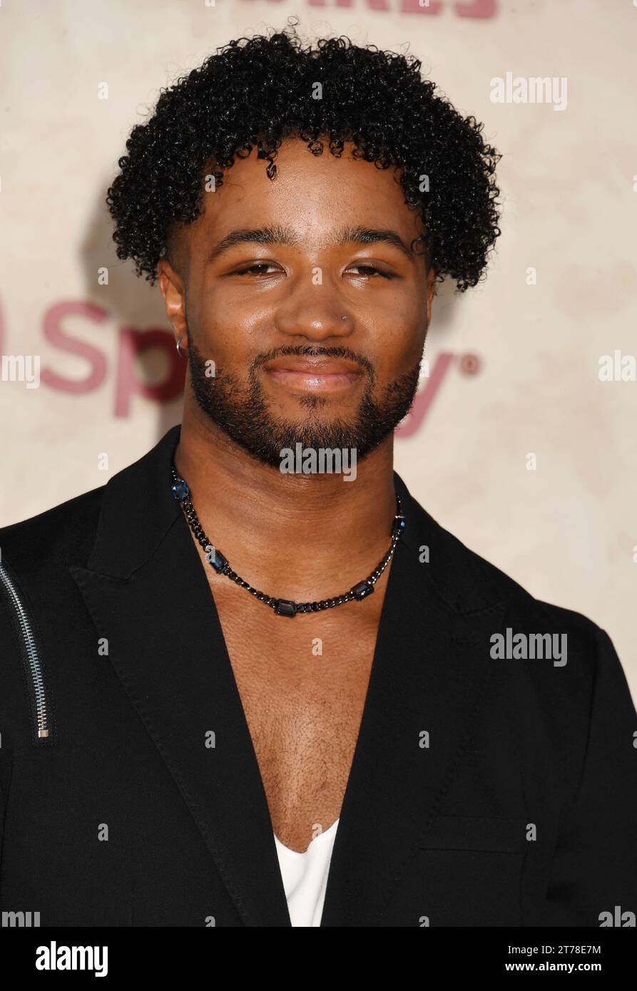 HOLLYWOOD, CALIFORNIA - NOVEMBER 13: Nick Benson attends The Ballad of ...