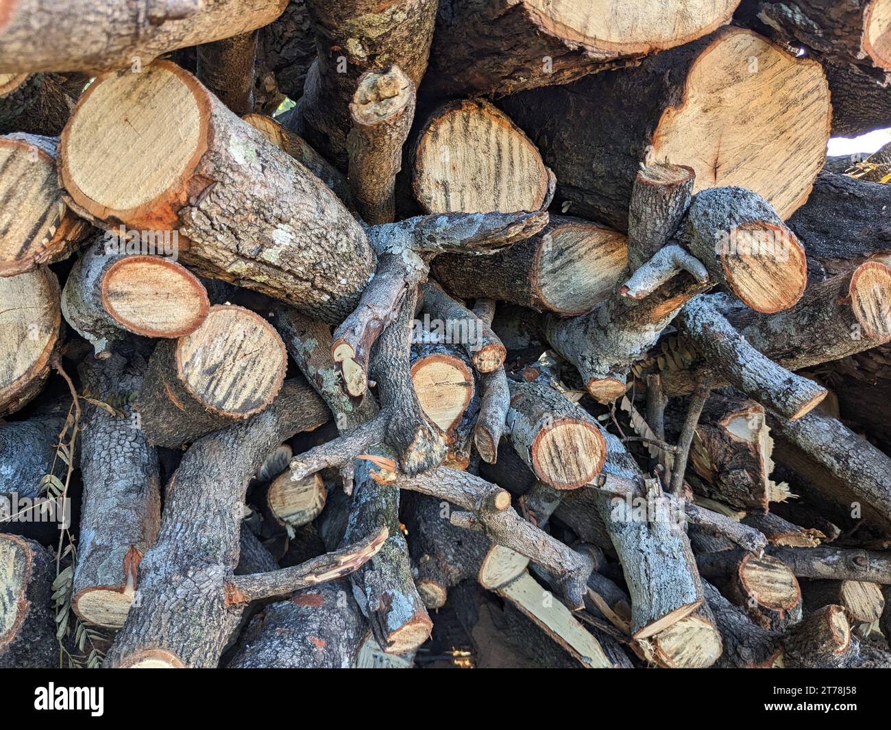 Firewood stack icon hi-res stock photography and images - Alamy