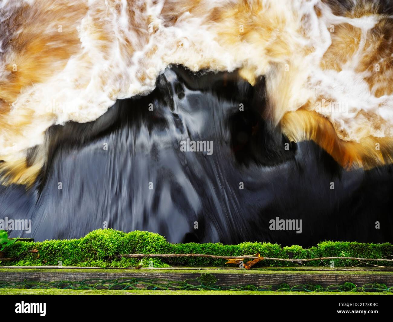 Peaty water splashing over the weir from the footbridge to Horseshoe ...