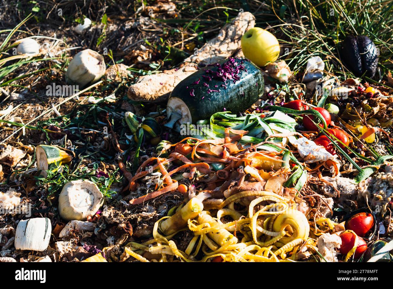 Compost pile, decomposing organic waste, biodegradable waste like ...