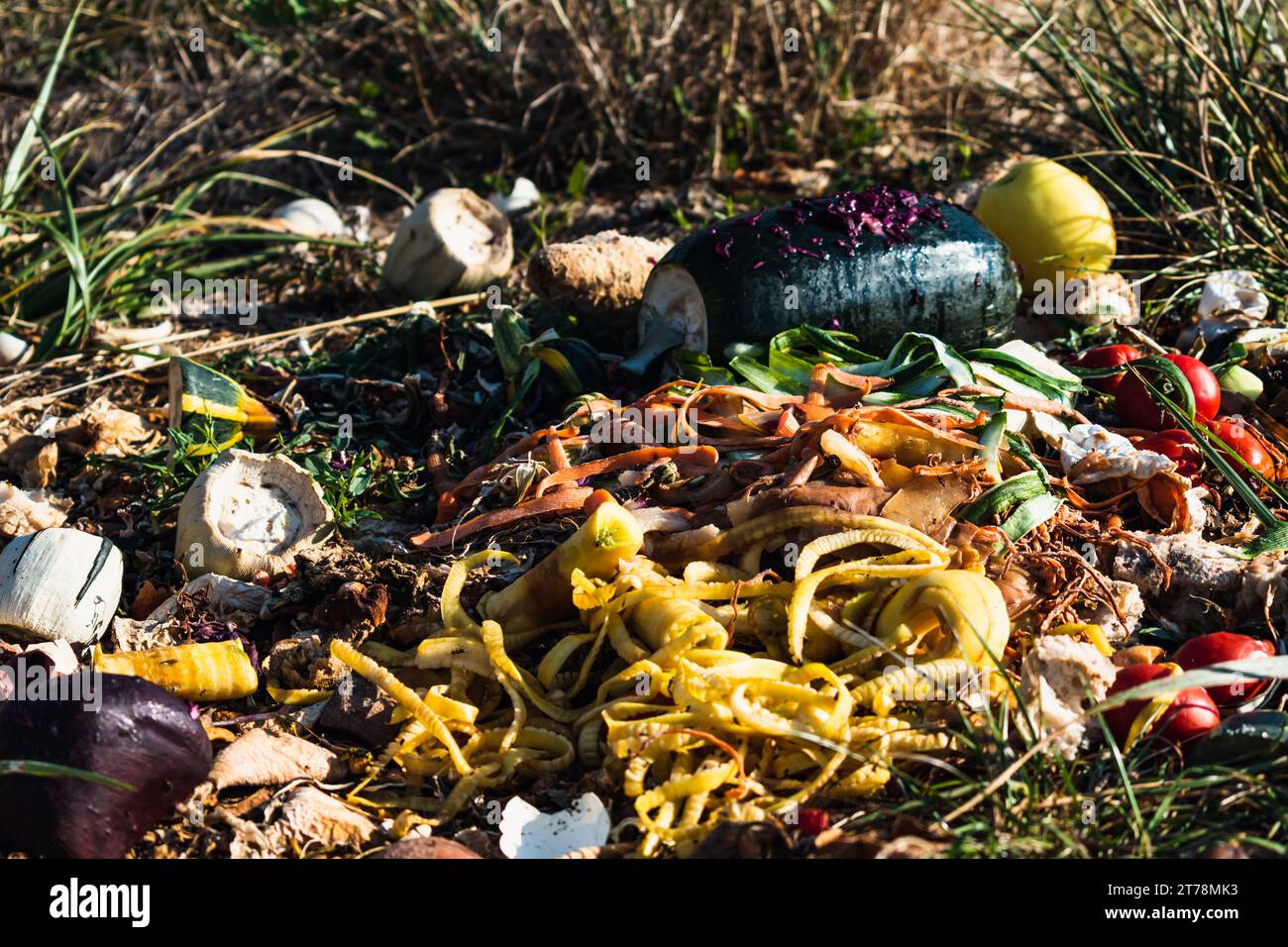 Compost pile, decomposing organic waste, biodegradable waste like ...