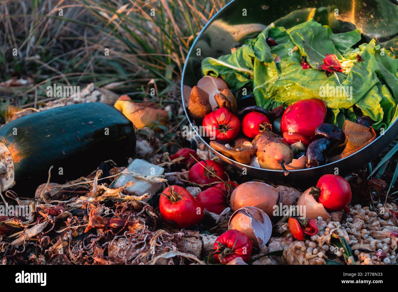 Compost pile, decomposing organic waste, biodegradable waste like vegetables, fruits, eggshell ...