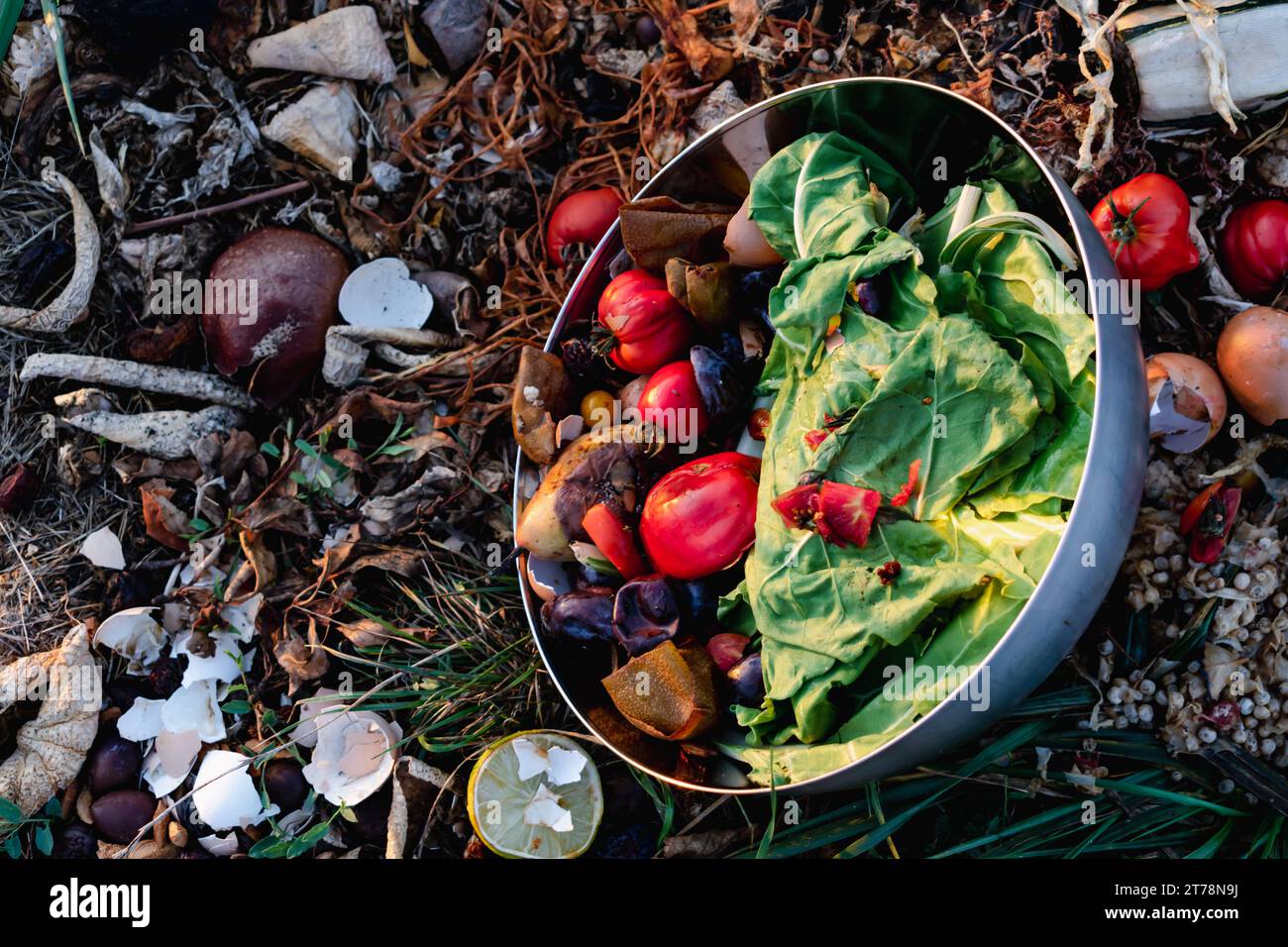 Compost pile, decomposing organic waste, biodegradable waste like ...