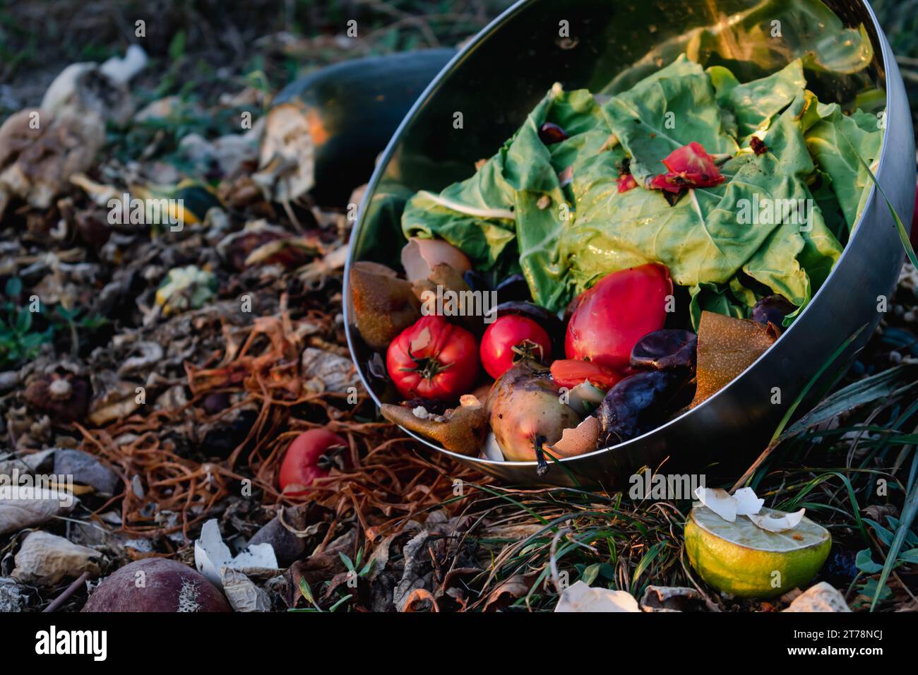 Compost pile, decomposing organic waste, biodegradable waste like ...