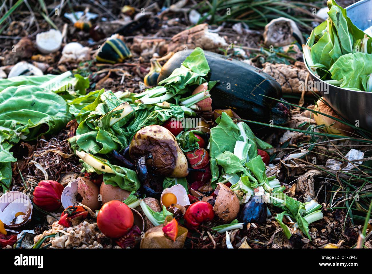 Compost pile, decomposing organic waste, biodegradable waste like ...