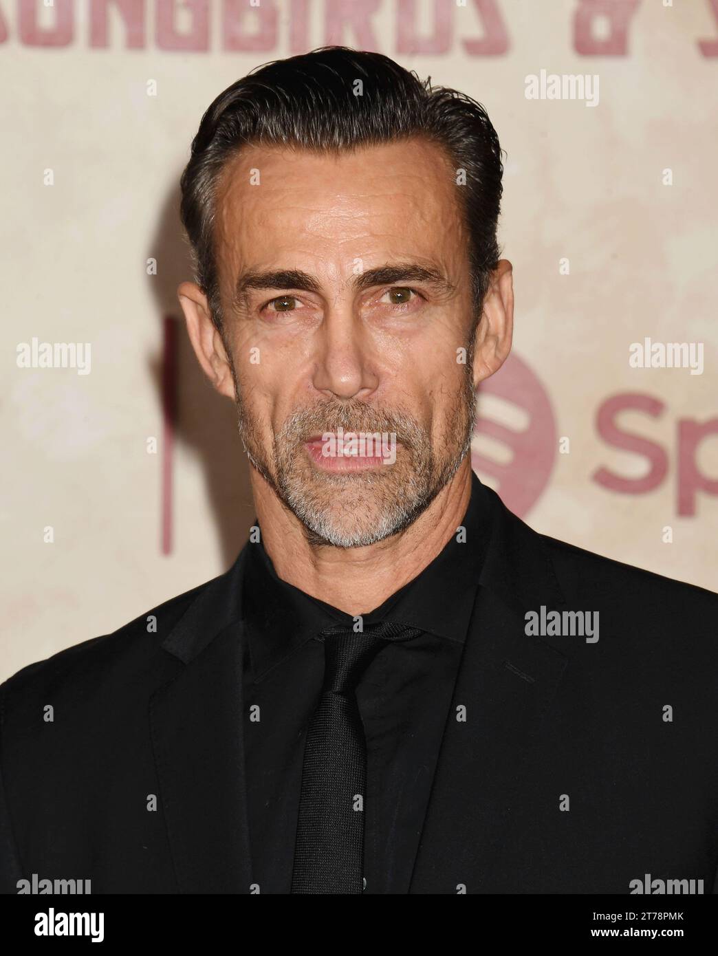 HOLLYWOOD, CALIFORNIA - NOVEMBER 13: Daniel Bernhardt attends The ...