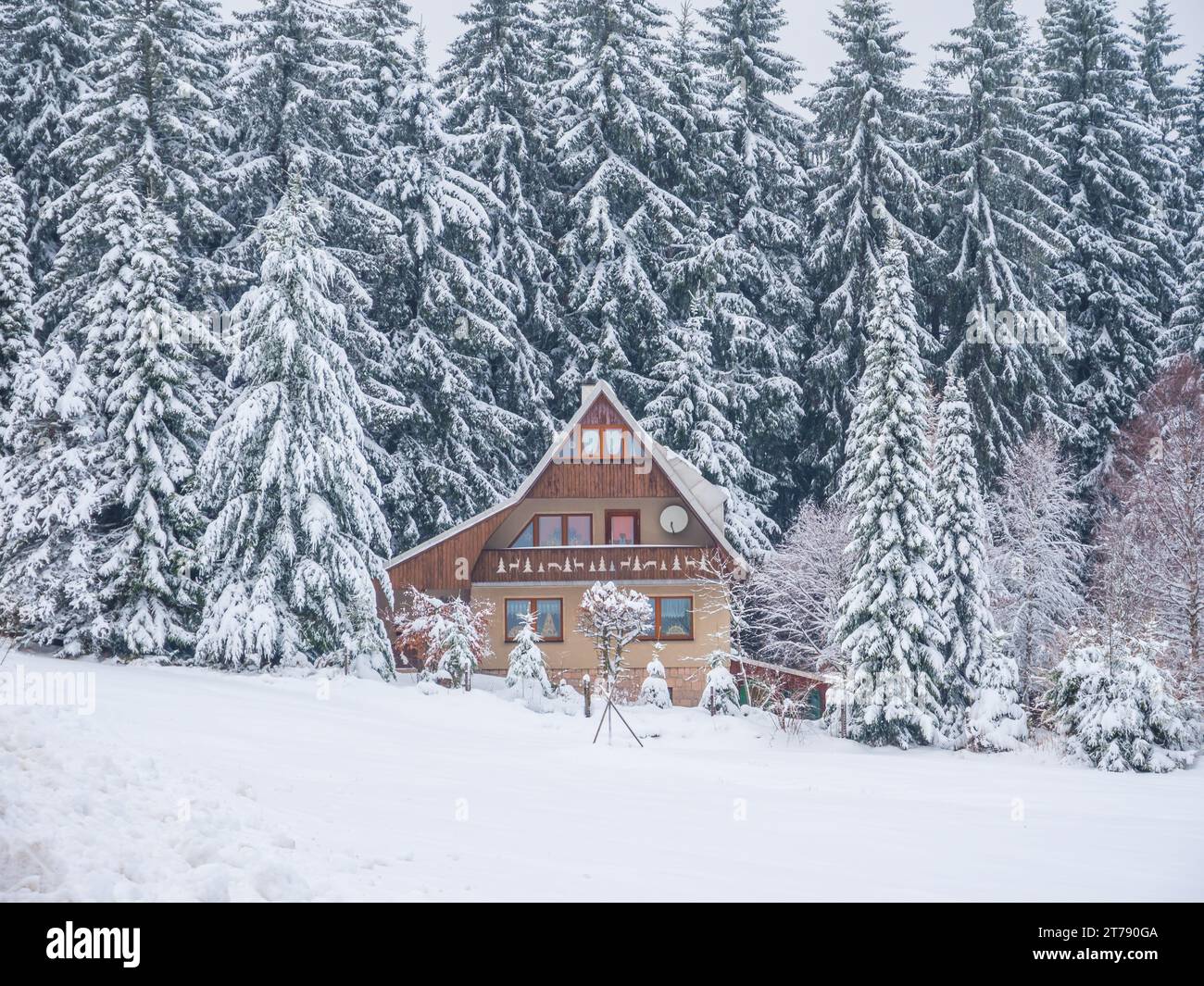Wooden hut forest hi-res stock photography and images - Alamy