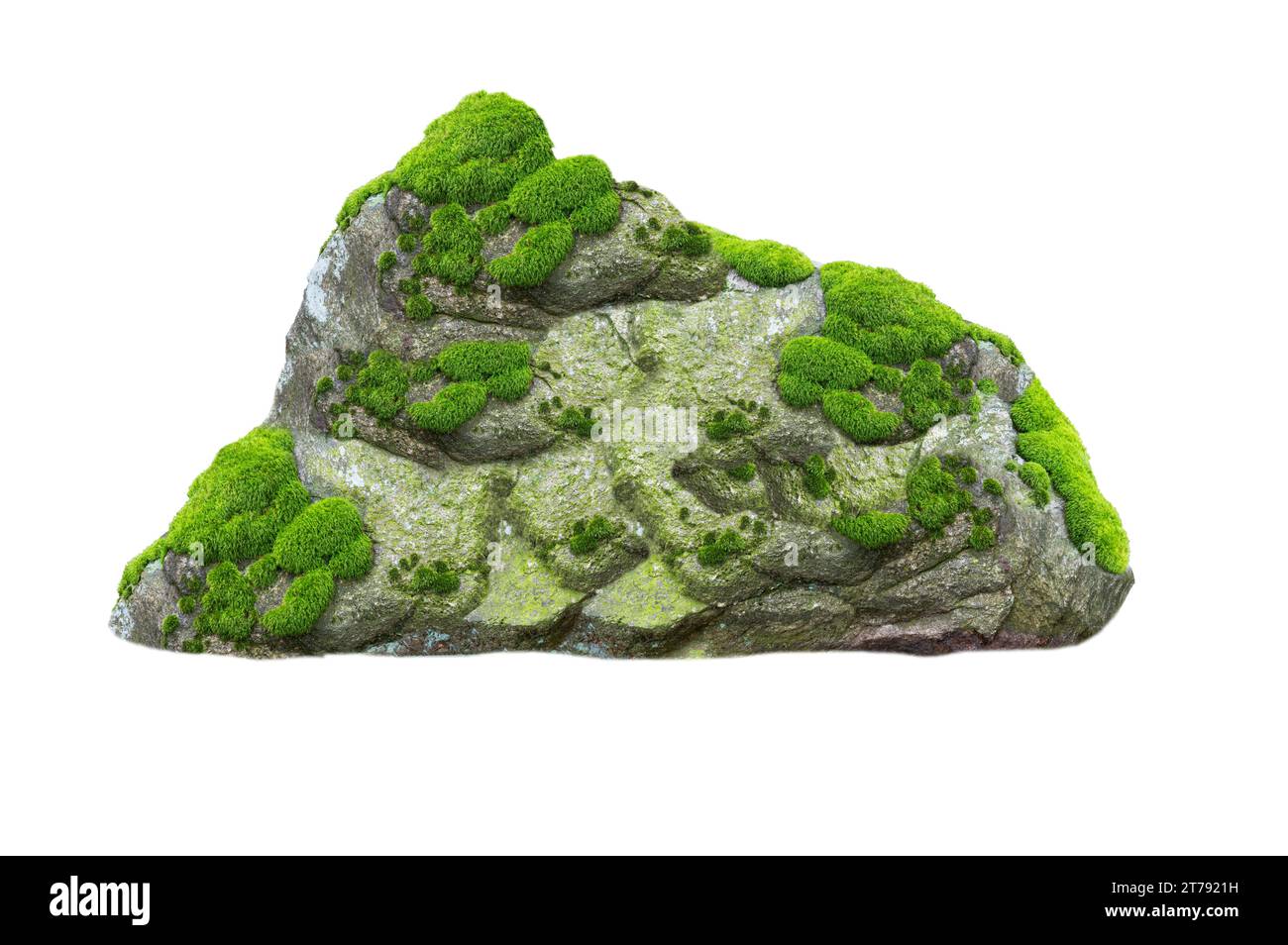 stone covered with moss isolated on white background Stock Photo - Alamy