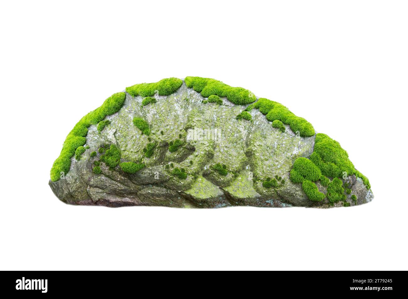 stone covered with moss isolated on white background Stock Photo - Alamy