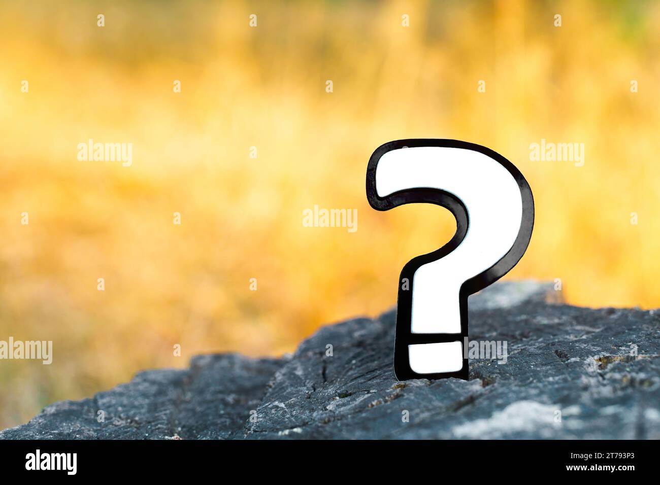 Quest mark figurine placed on a tree stump in the forest. Ecological ...