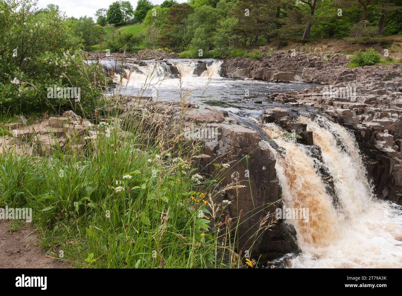 The waterfalls at Low Force,Teesdale,England,UK Stock Photo - Alamy
