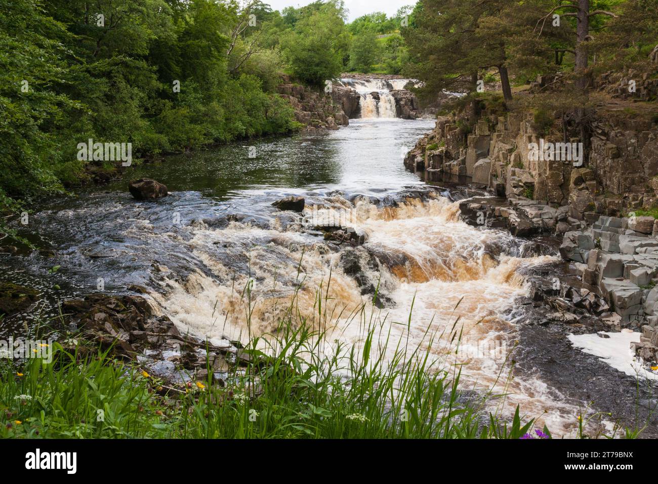 The waterfalls at Low Force,Teesdale,England,UK Stock Photo - Alamy