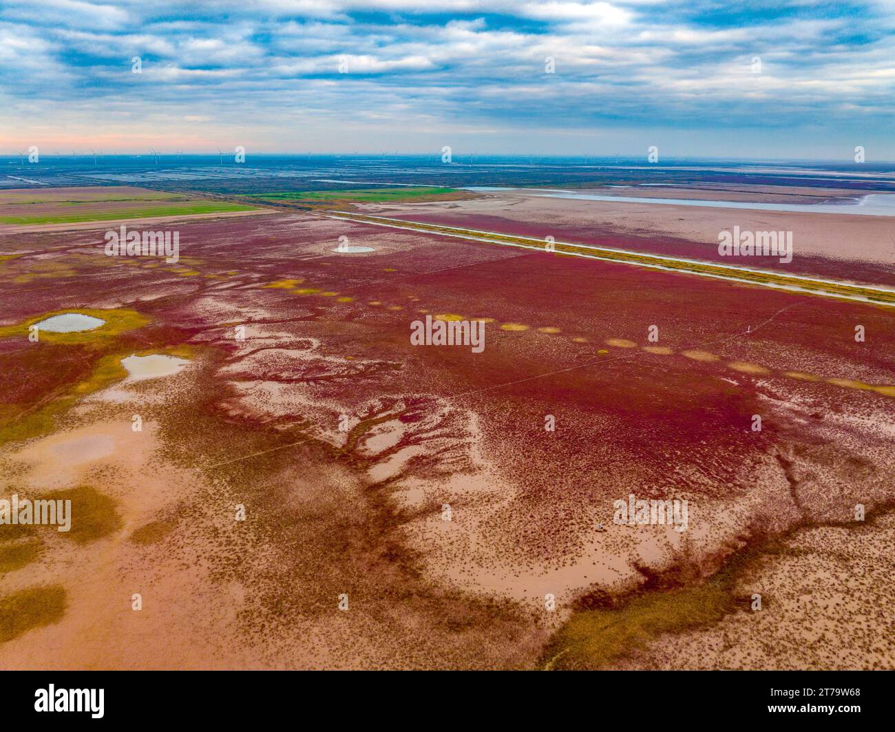 YANCHENG, CHINA - NOVEMBER 13, 2023 - Aerial photo shows the ecological ...